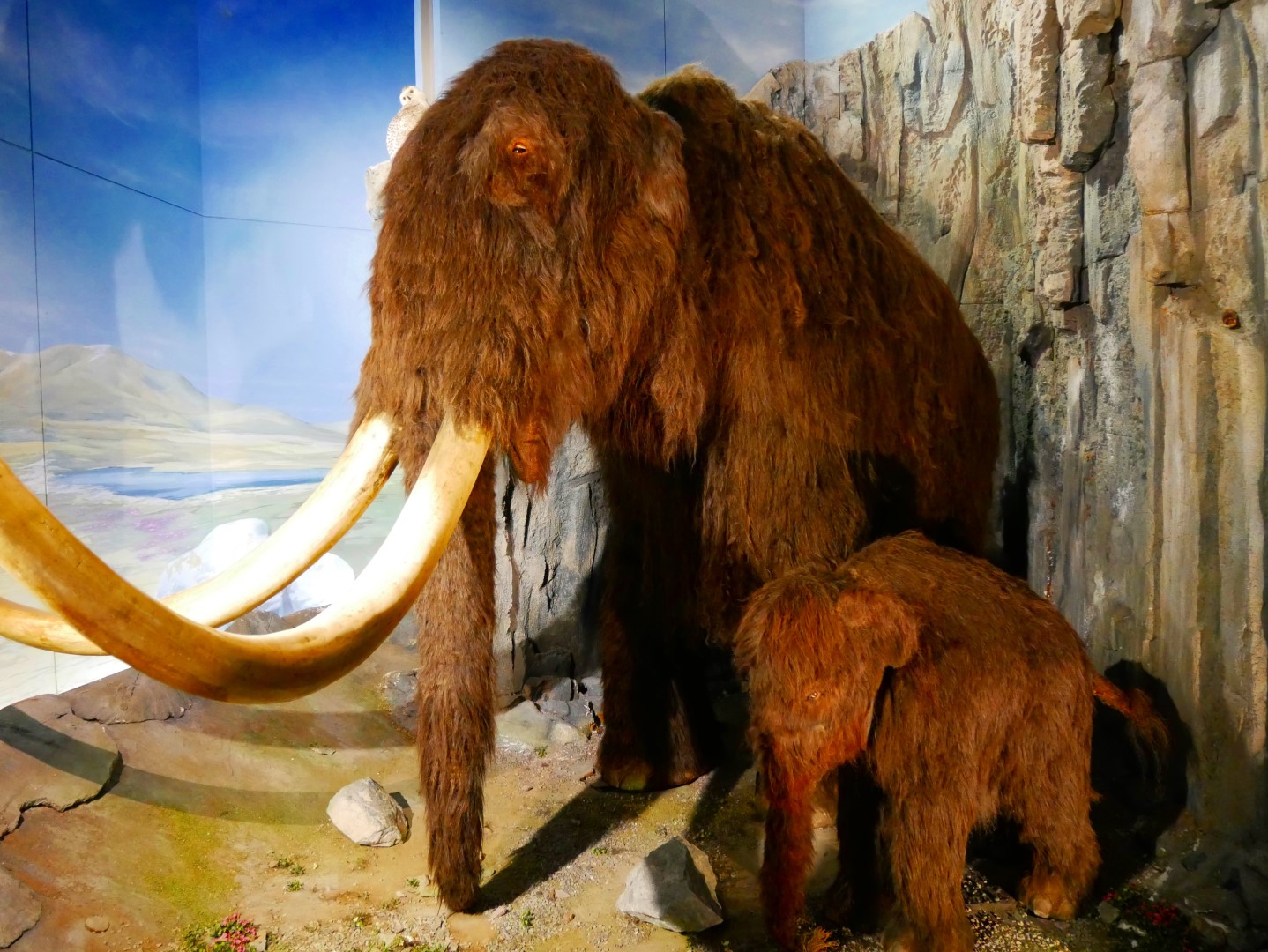 National Museum Cardiff – Antony Peyton
